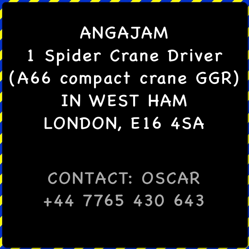 1 Spider Crane Driver A66 compact crane